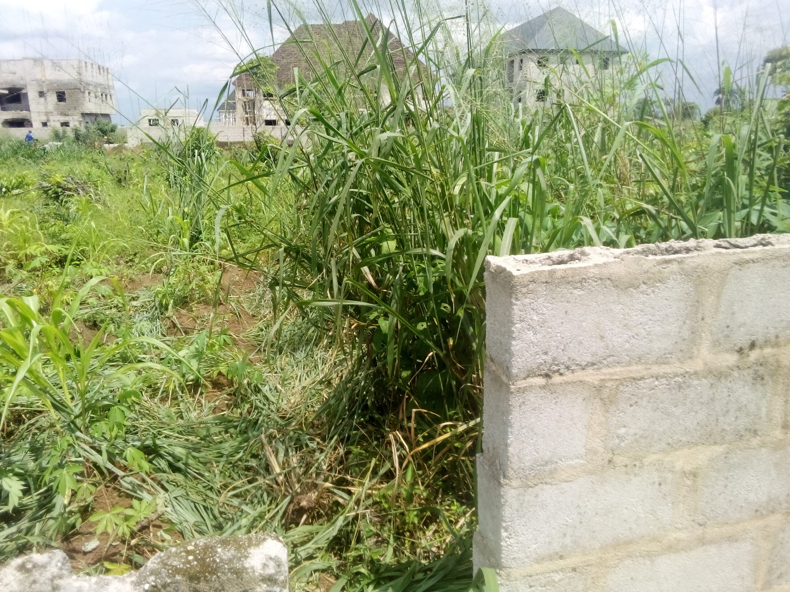2 Standard Plots of Land with Massive Green Verge