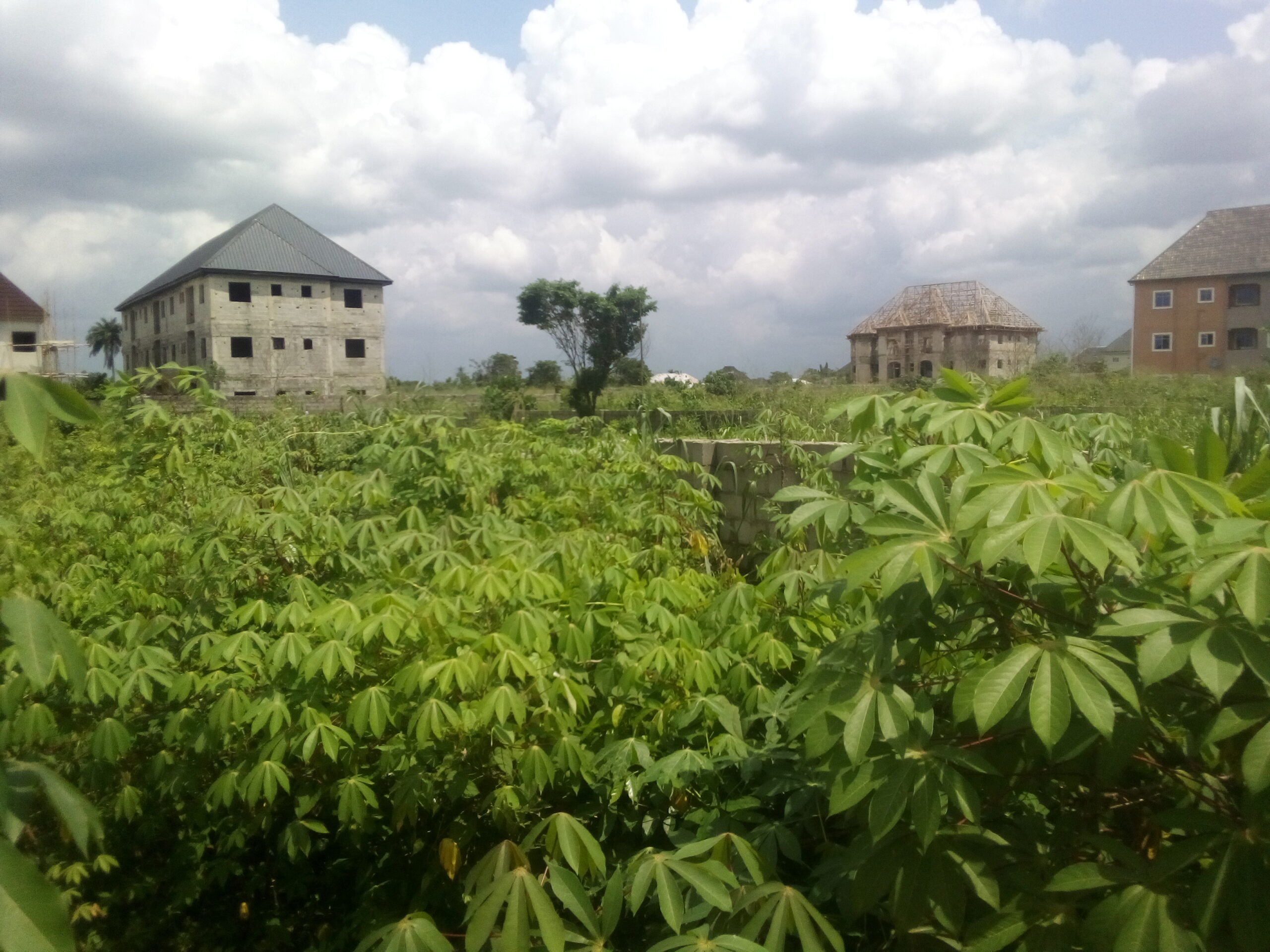 2 Standard Plots of Land with Massive Green Verge